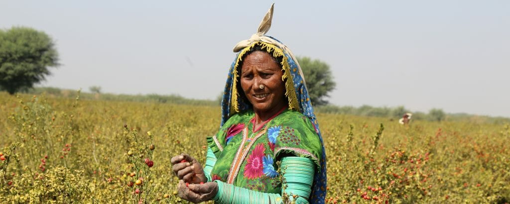 Guidelines for implementing the Standard - DCED